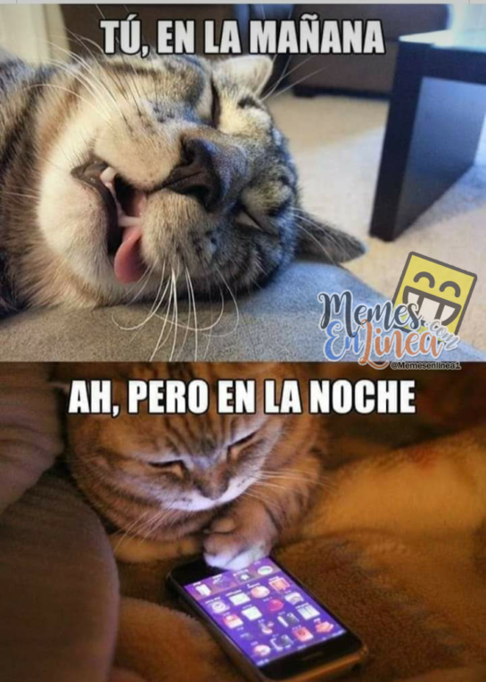 Tu en la mañana, Ah! pero anoche… – Memes en Linea